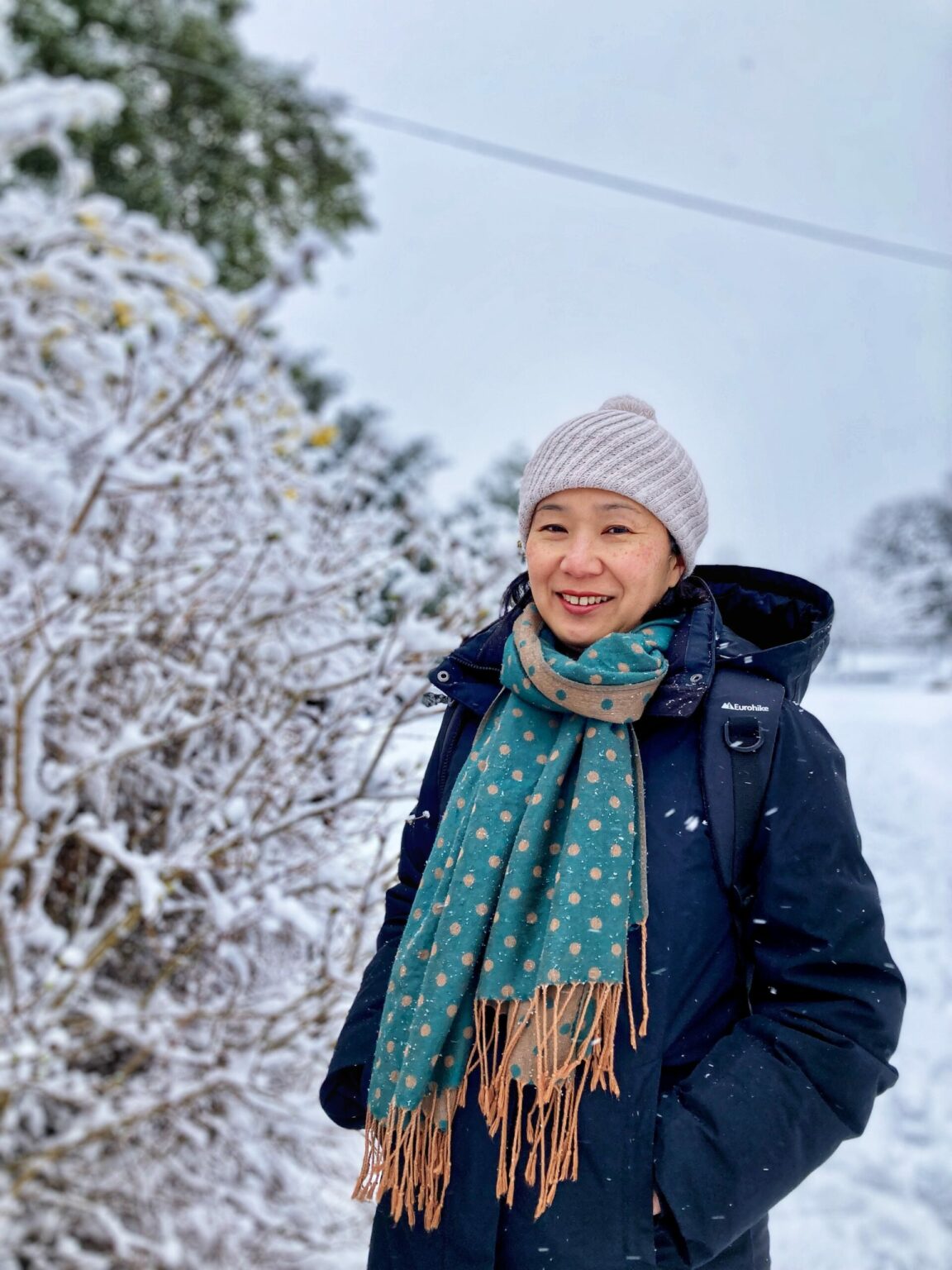 Team – Bayliss Lab